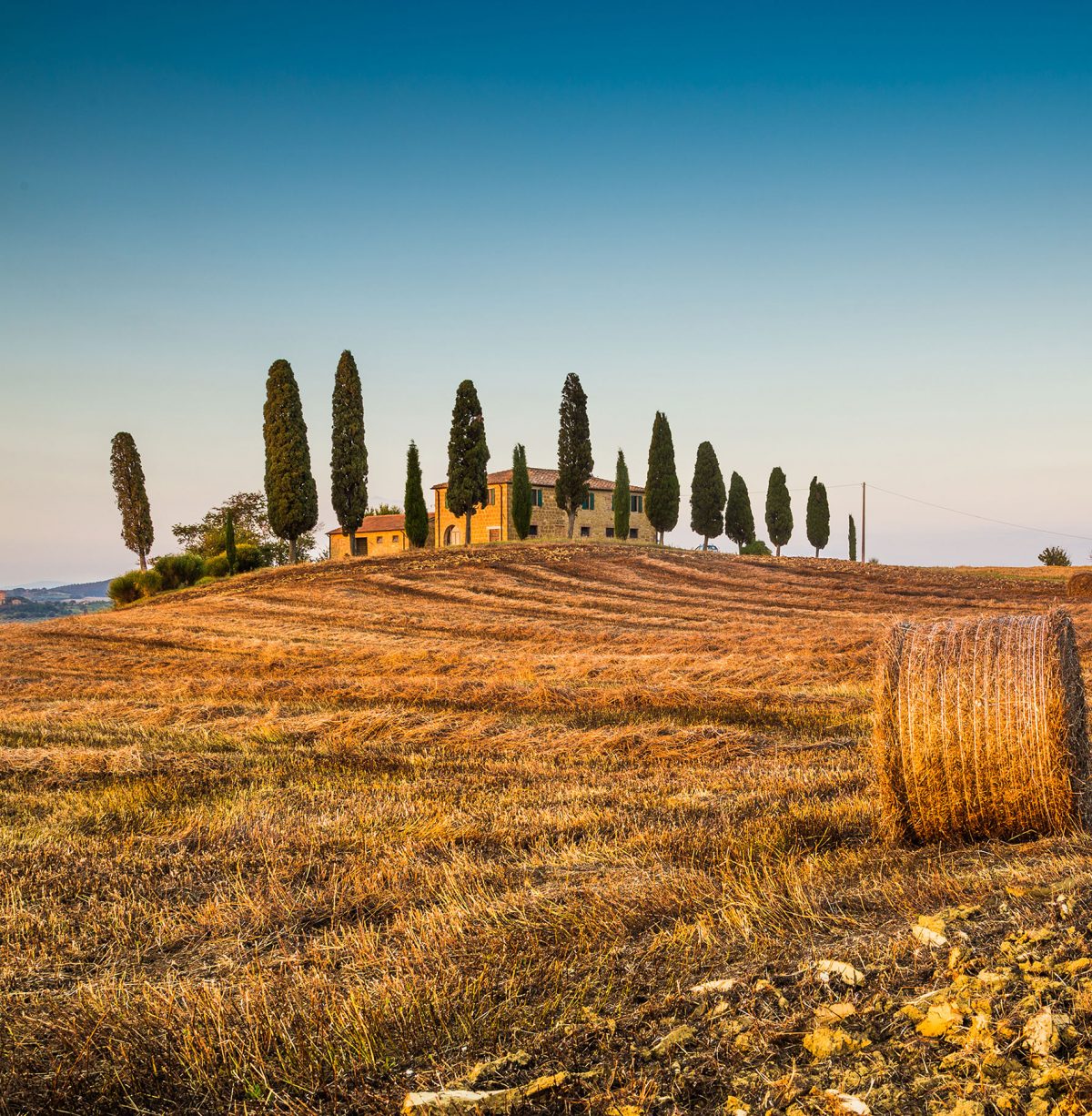 Home - La Fattoria